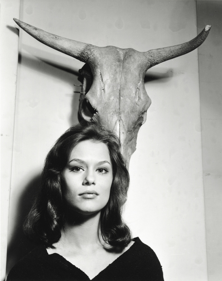 Picture of Lauren Hutton