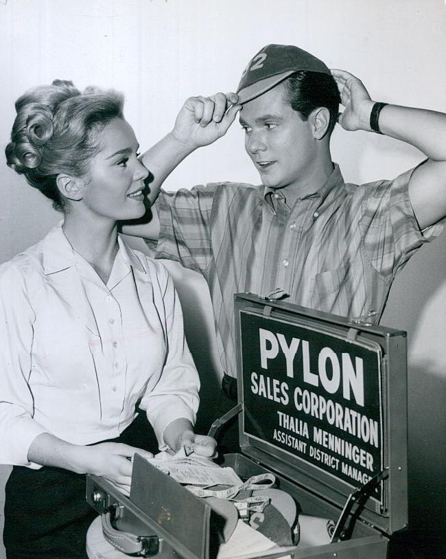 The Many Loves of Dobie Gillis image