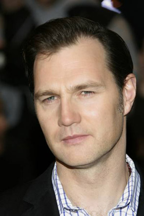 David Morrissey image