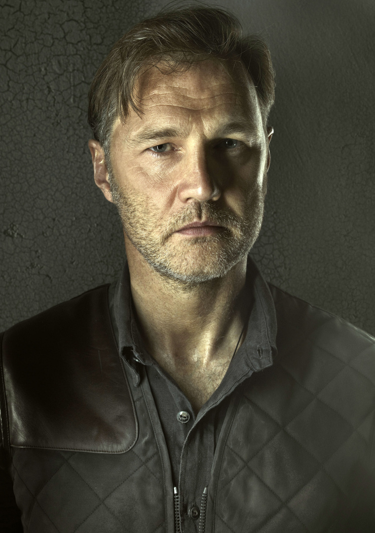 Picture of David Morrissey