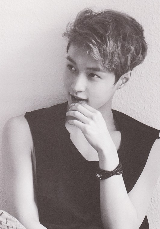 Picture of Lay (Exo)