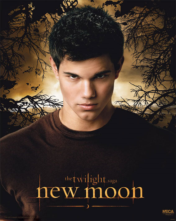 Picture of The Twilight Saga: New Moon