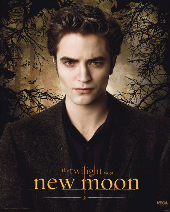 Picture of The Twilight Saga: New Moon