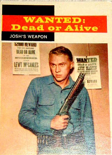 Wanted: Dead or Alive image