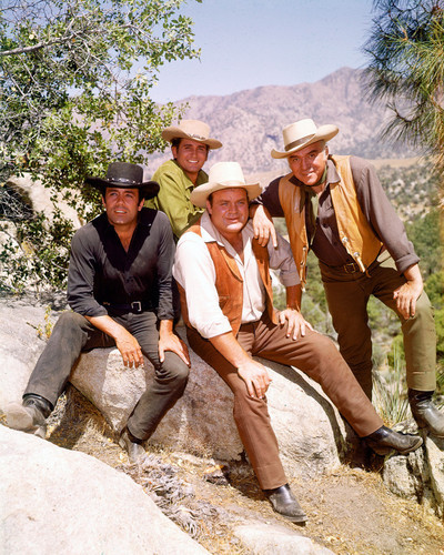 Picture of Bonanza