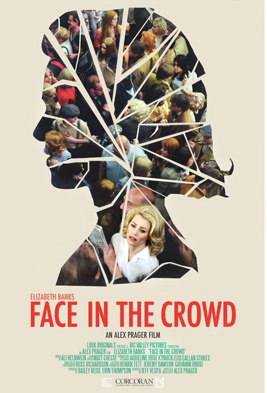 Picture of Face in the Crowd (2013)