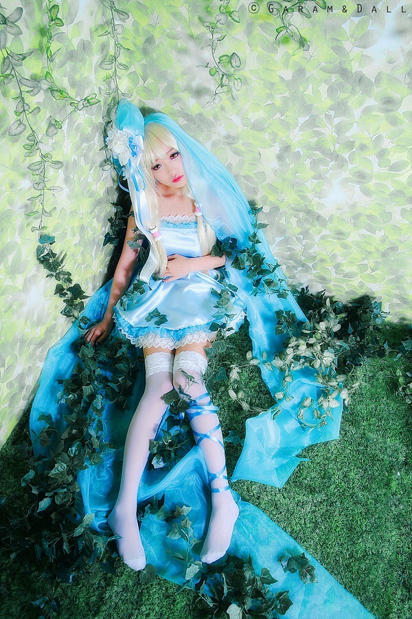 Picture of Tomia (토미아)