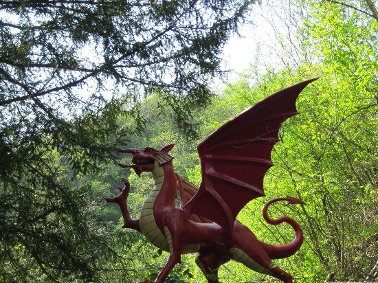Red Dragon/ Y Ddraig Goch, Dan-yr-Ogof