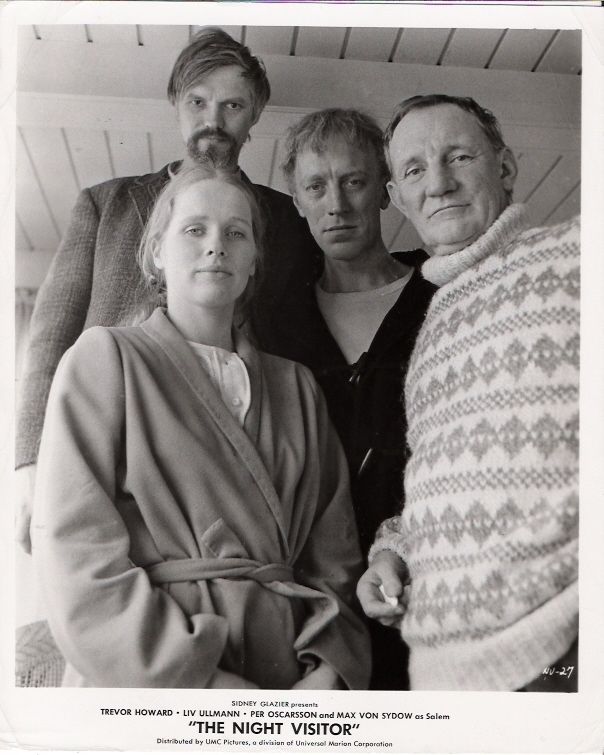 Picture of The Night Visitor