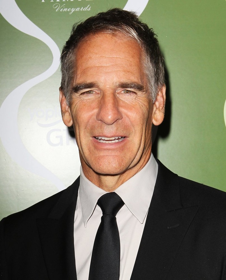 Image of Scott Bakula