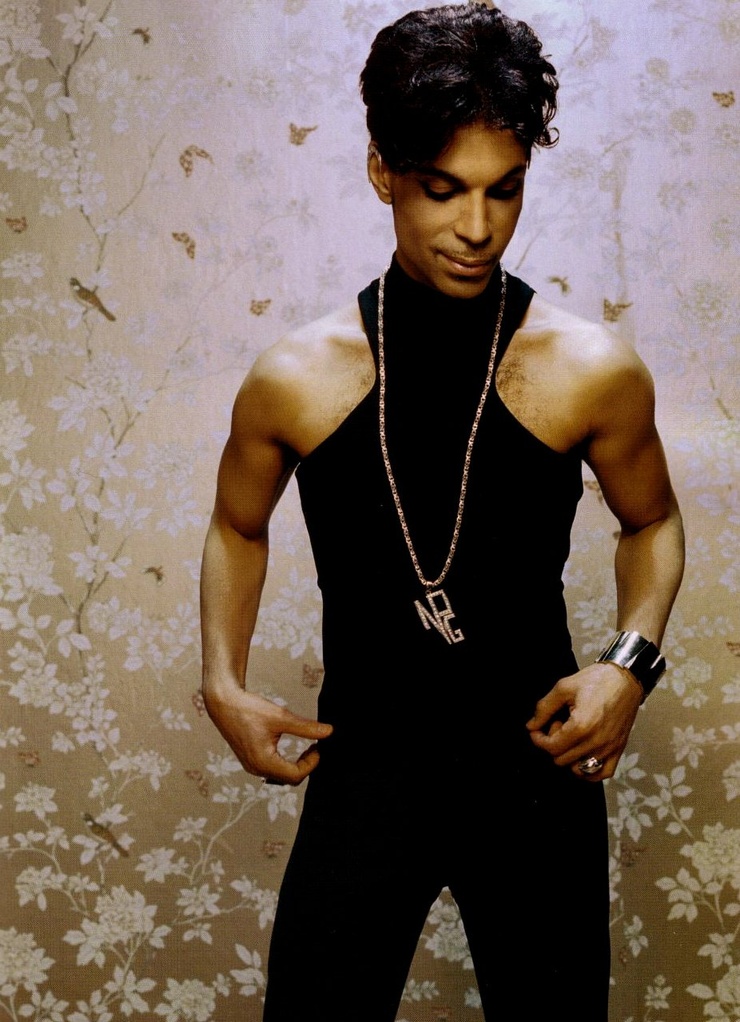 Prince picture