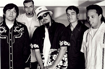 Sprung Monkey picture