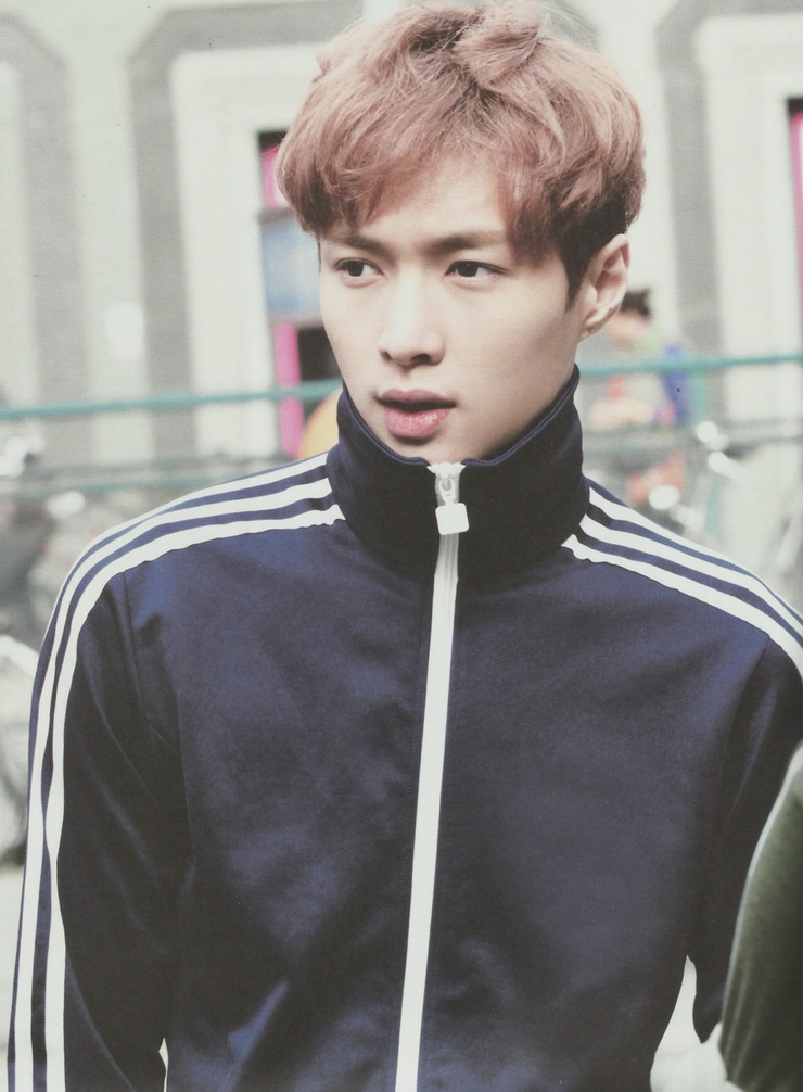 Lay picture