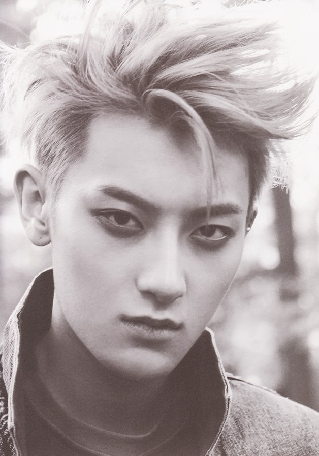 Picture of Tao (Exo)