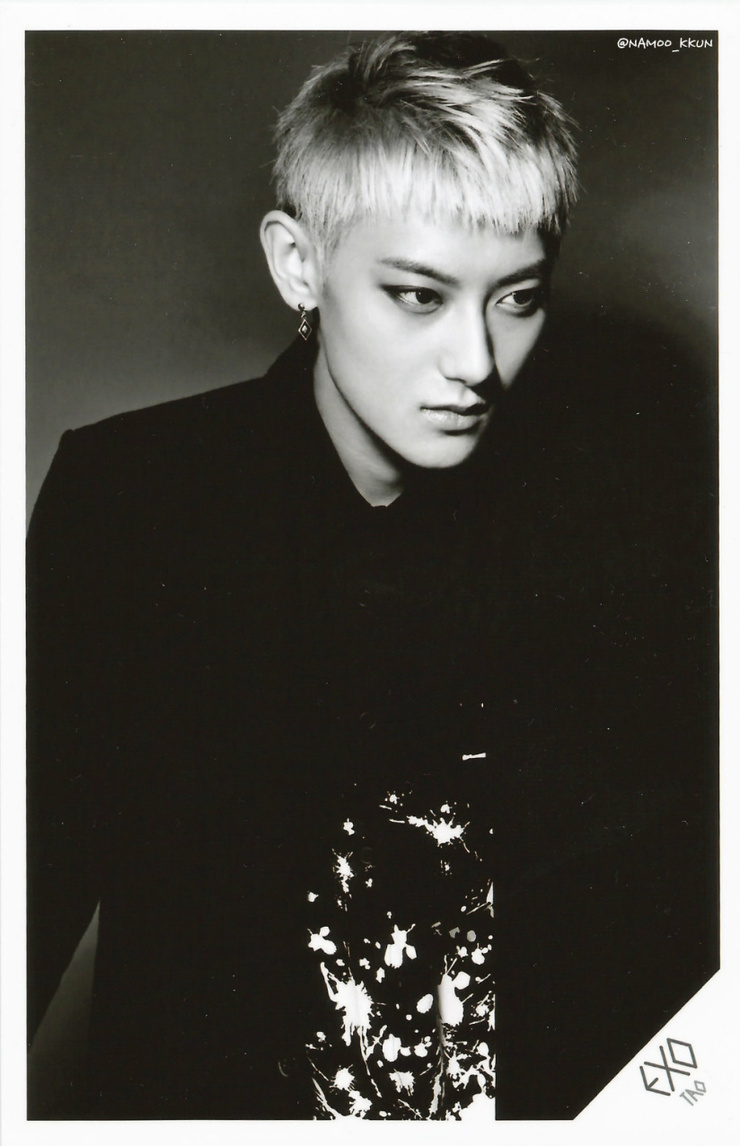 Tao (Exo) image