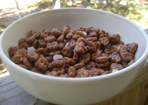 Picture of Count Chocula