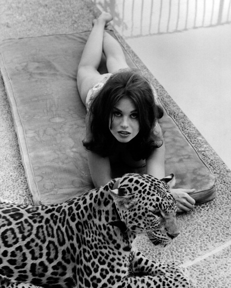 Lana Wood Picture