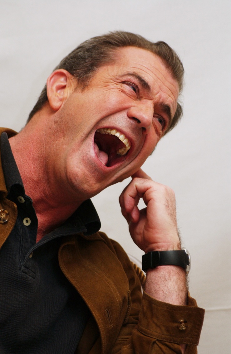 Picture of Mel Gibson