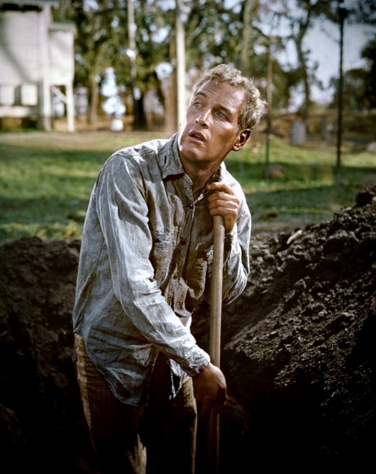 Cool Hand Luke image