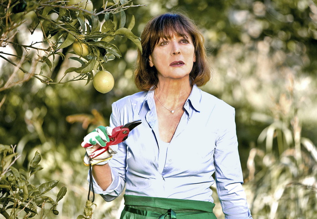 Picture of Heidelinde Weis