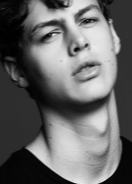 Picture of Darwin Gray