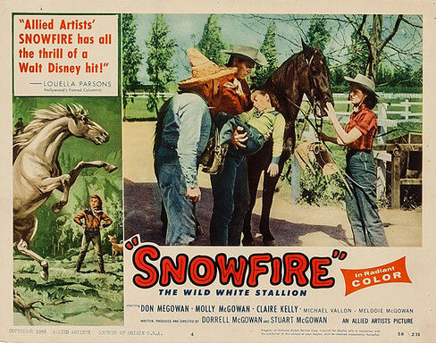 Picture of Snowfire