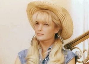 Picture of The Beverly Hillbillies