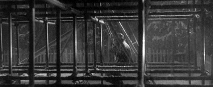 Picture of Ikiru