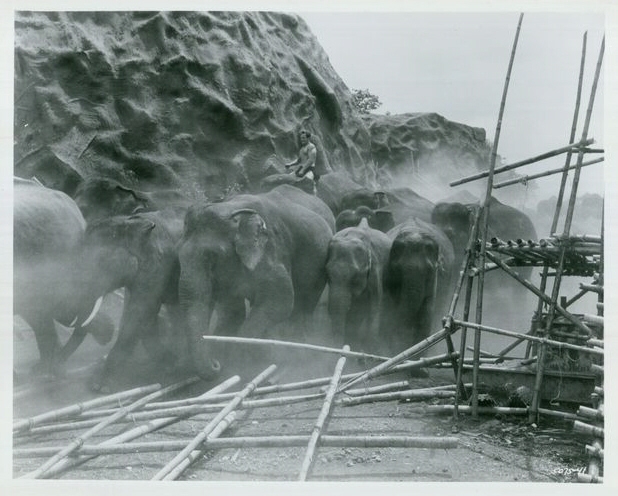 Picture of Tarzan Goes to India (1962)