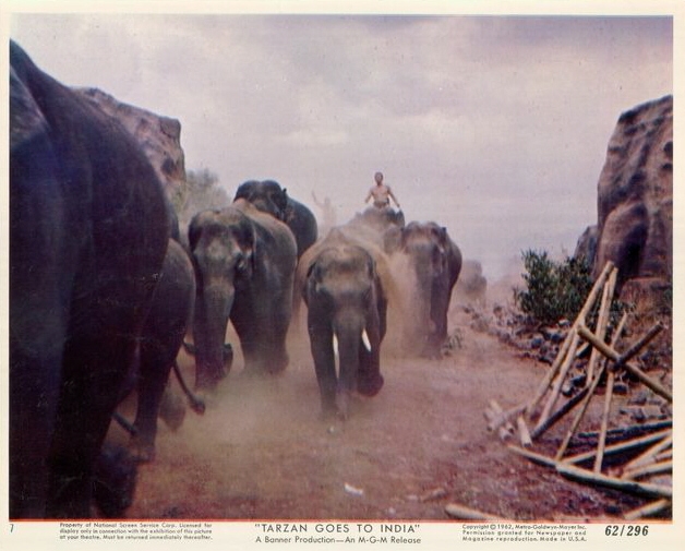 Picture of Tarzan Goes to India (1962)