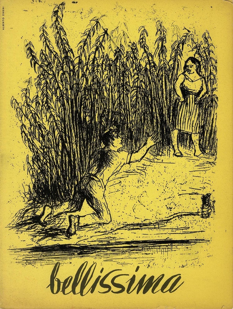 Picture of Bellissima