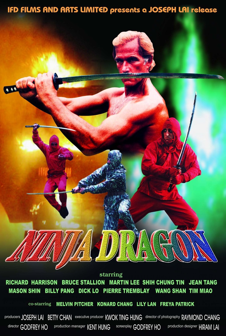 Ninja Dragon picture