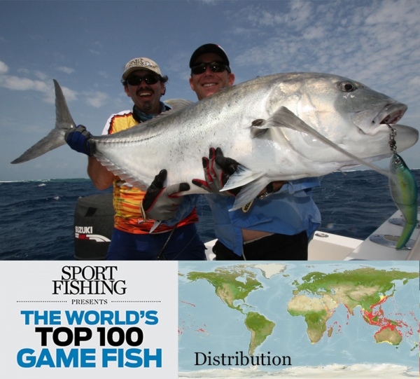 Picture of Giant Trevally