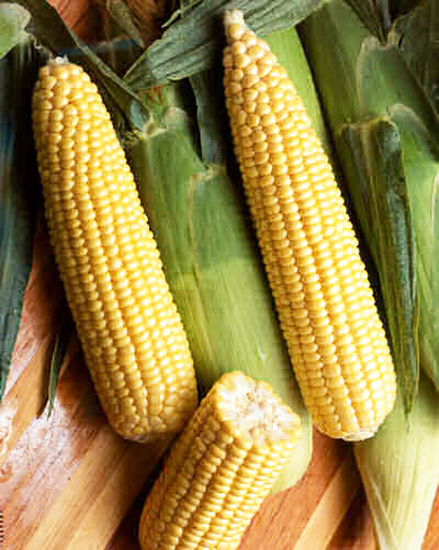 Picture of Sweet Corn
