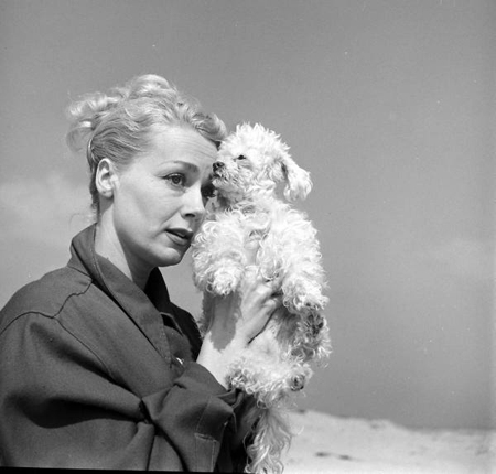June Havoc picture
