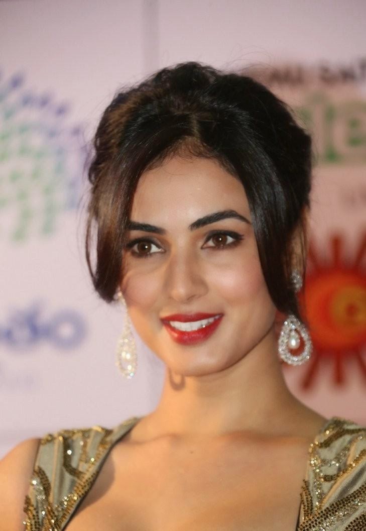 Sonal Chauhan image