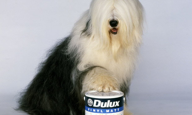 Picture of Dulux Dog
