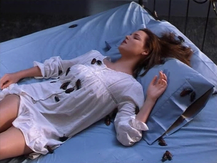 Image of Bug Buster (1998)