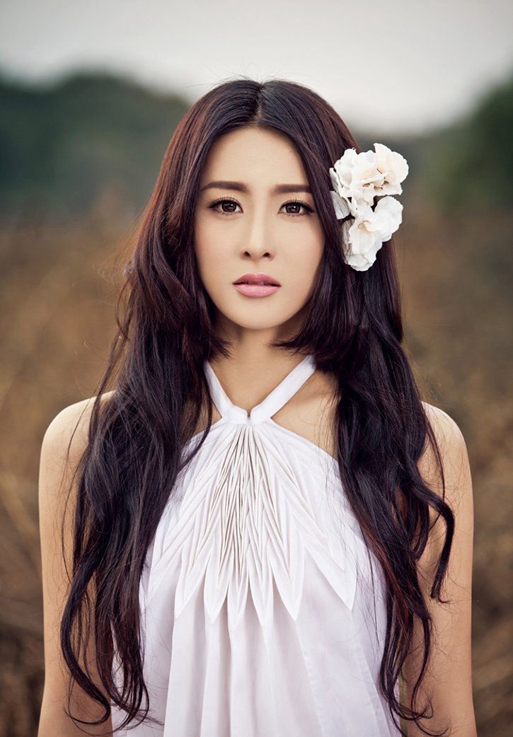 Picture of Jia Qing