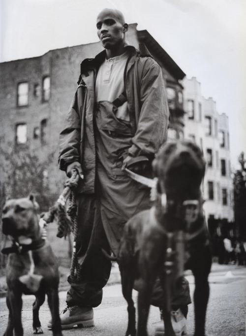 Picture of DMX