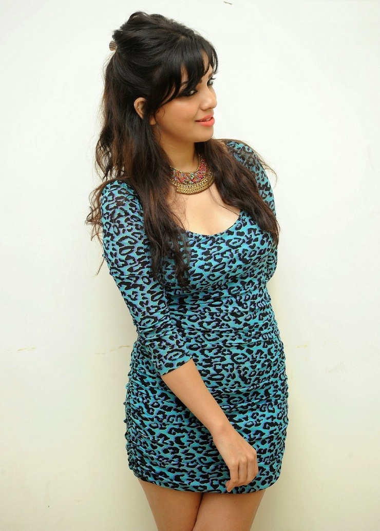 Picture of Parinidhi