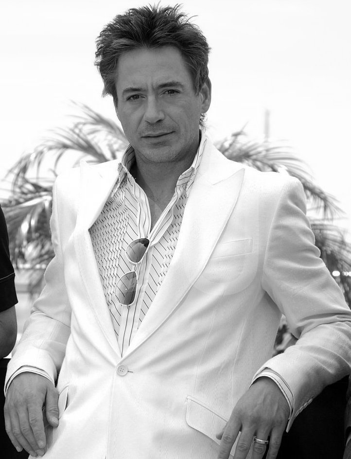 Robert Downey Jr.