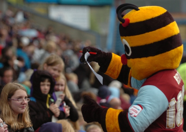 Picture of Bertie Bee