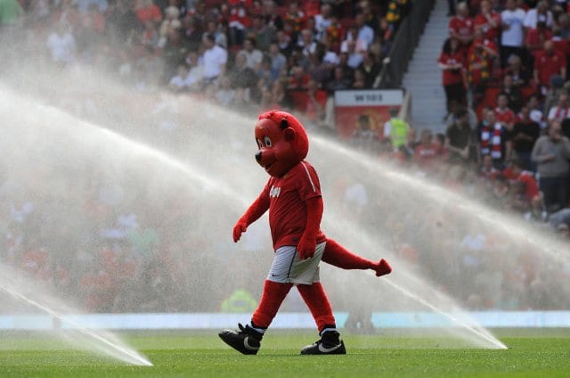 Picture of Fred the Red