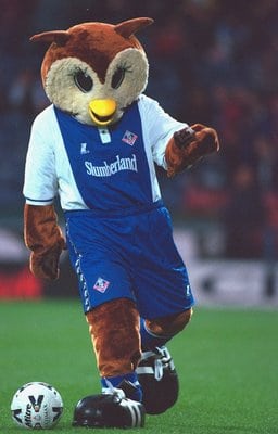 Picture of Chaddy the Owl