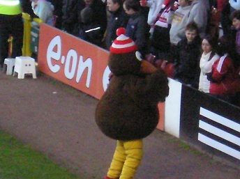 Picture of Scrumpy the Robin