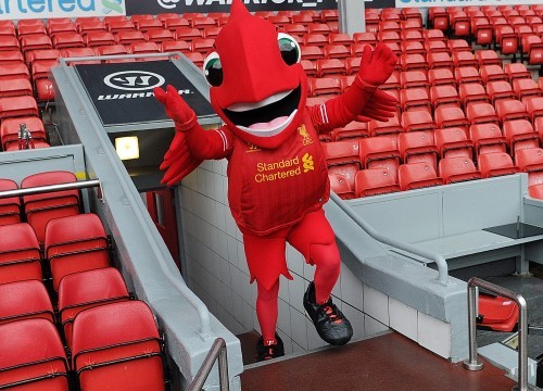 Picture of Mighty Red