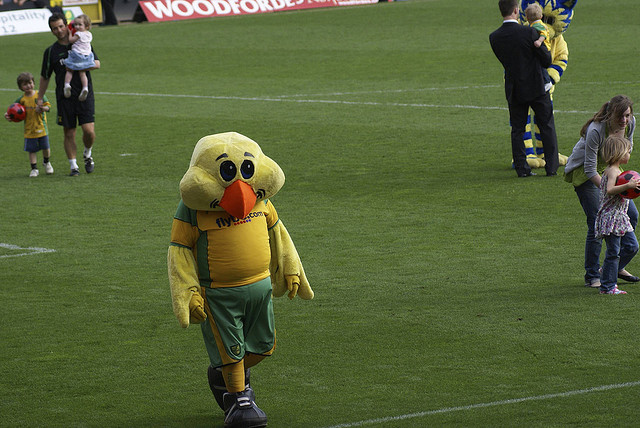 Captain Canary image