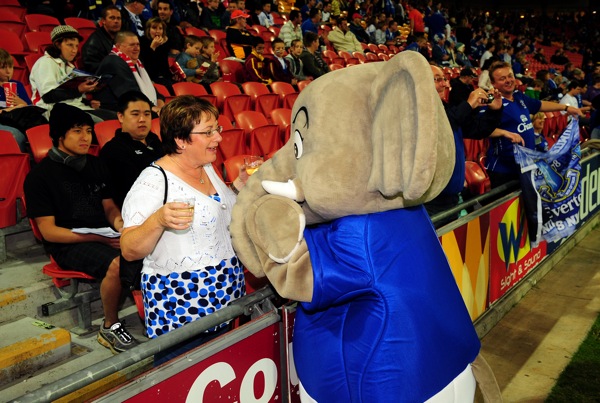 Changy the Elephant picture
