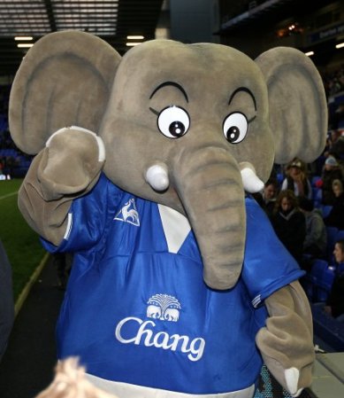 Picture of Changy the Elephant